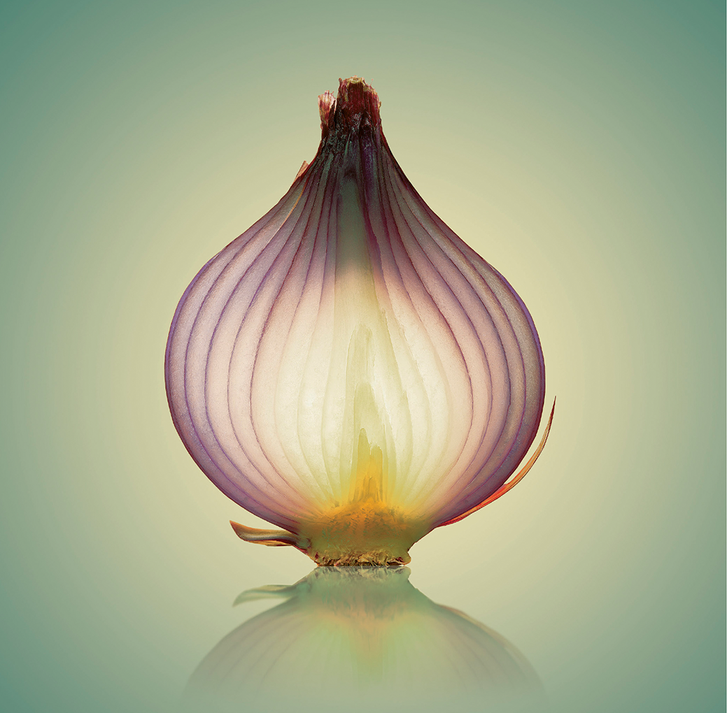 Onion Project - Business Consulting - let's focus on value add